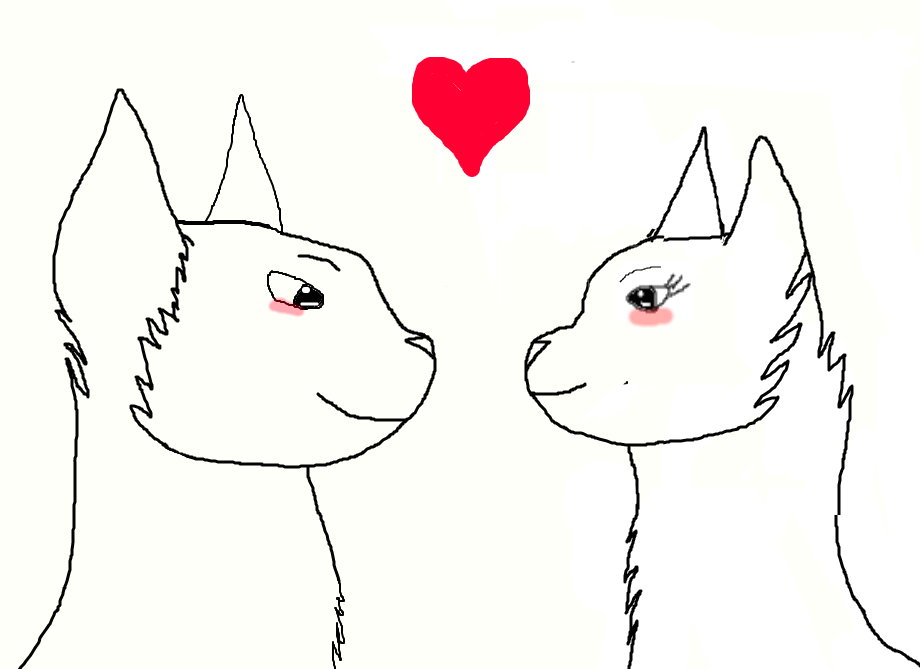 Cat Couple Lineart by Cinder06 on DeviantArt