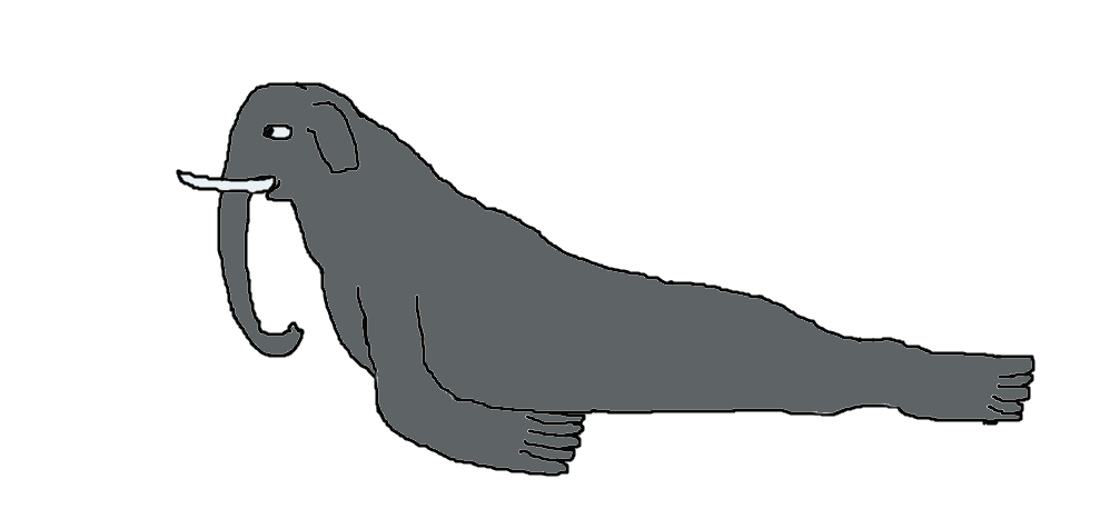 Elephant Seal by Dinowolf47 on DeviantArt