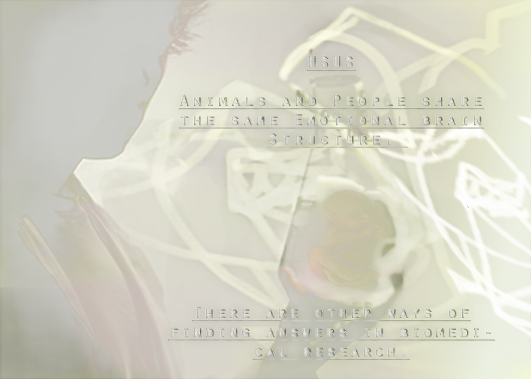 Clients Collage by cathrynzedajones on DeviantArt