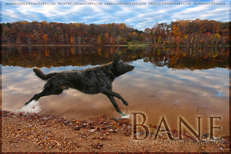 Bane by AlFrescoDesigns on DeviantArt