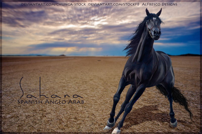 Sahara by AlFrescoDesigns on DeviantArt