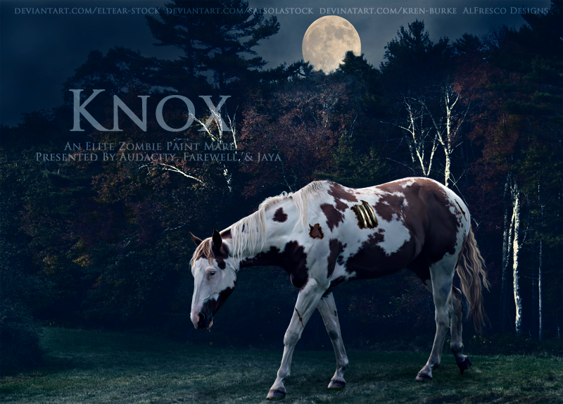 Knox by AlFrescoDesigns on DeviantArt