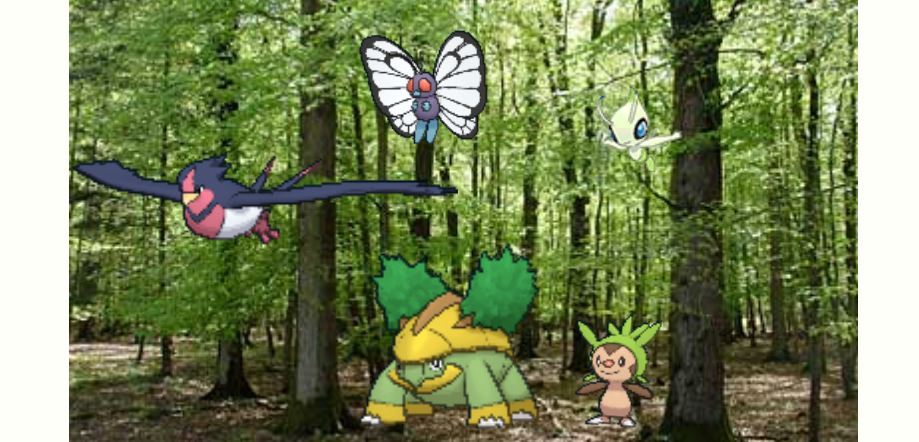 Pokemon IRL 1 by Gengar64fakemon on DeviantArt