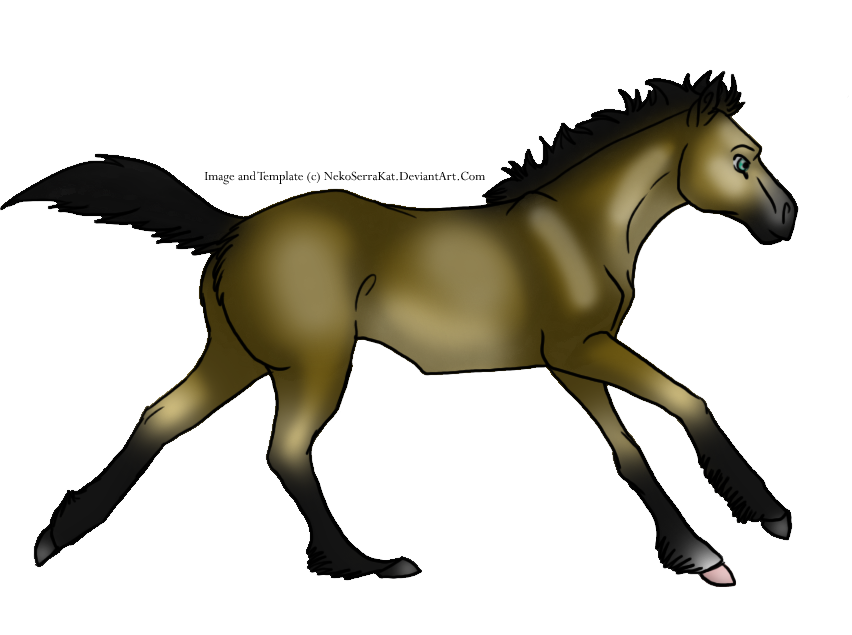 Foal Template by TallestSky on DeviantArt