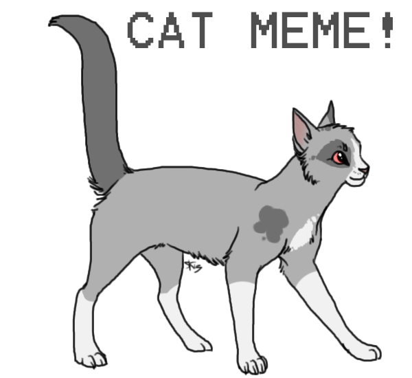 PHOTOSHOP Cat Meme! by TallestSky on DeviantArt