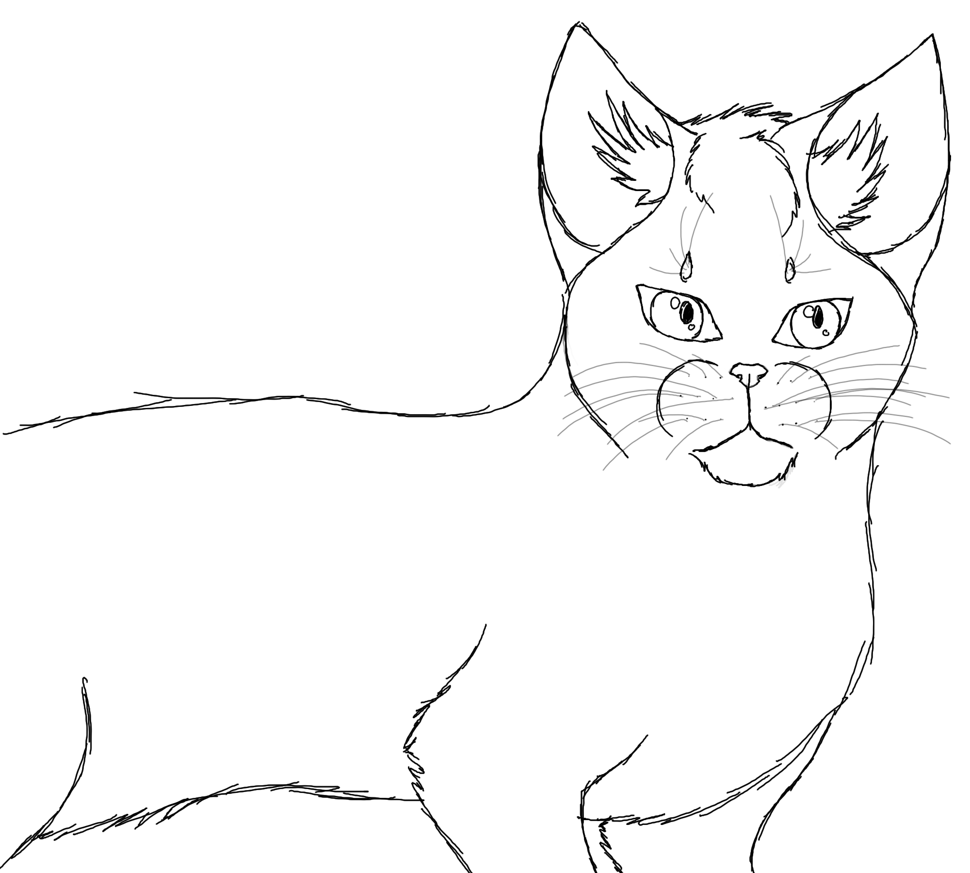 Cat Side View Standing