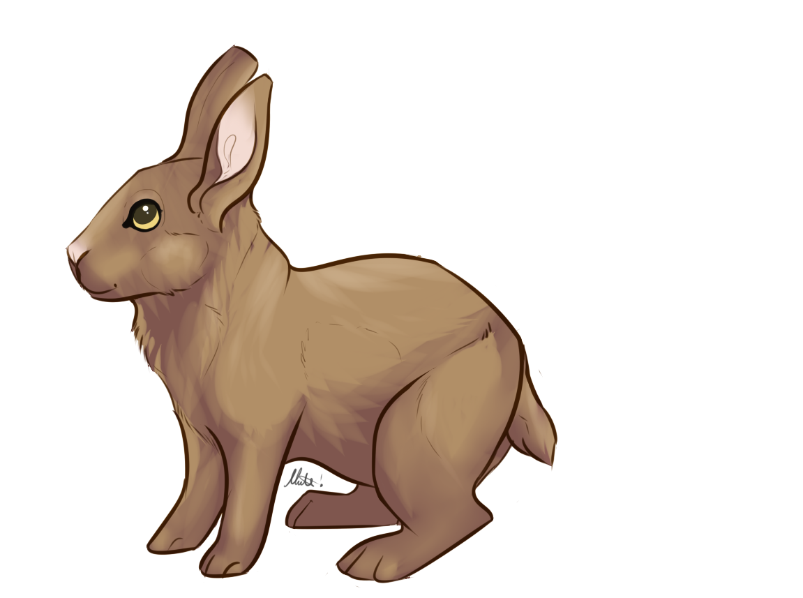 Free Rabbit base by TurtlesInPonds on DeviantArt