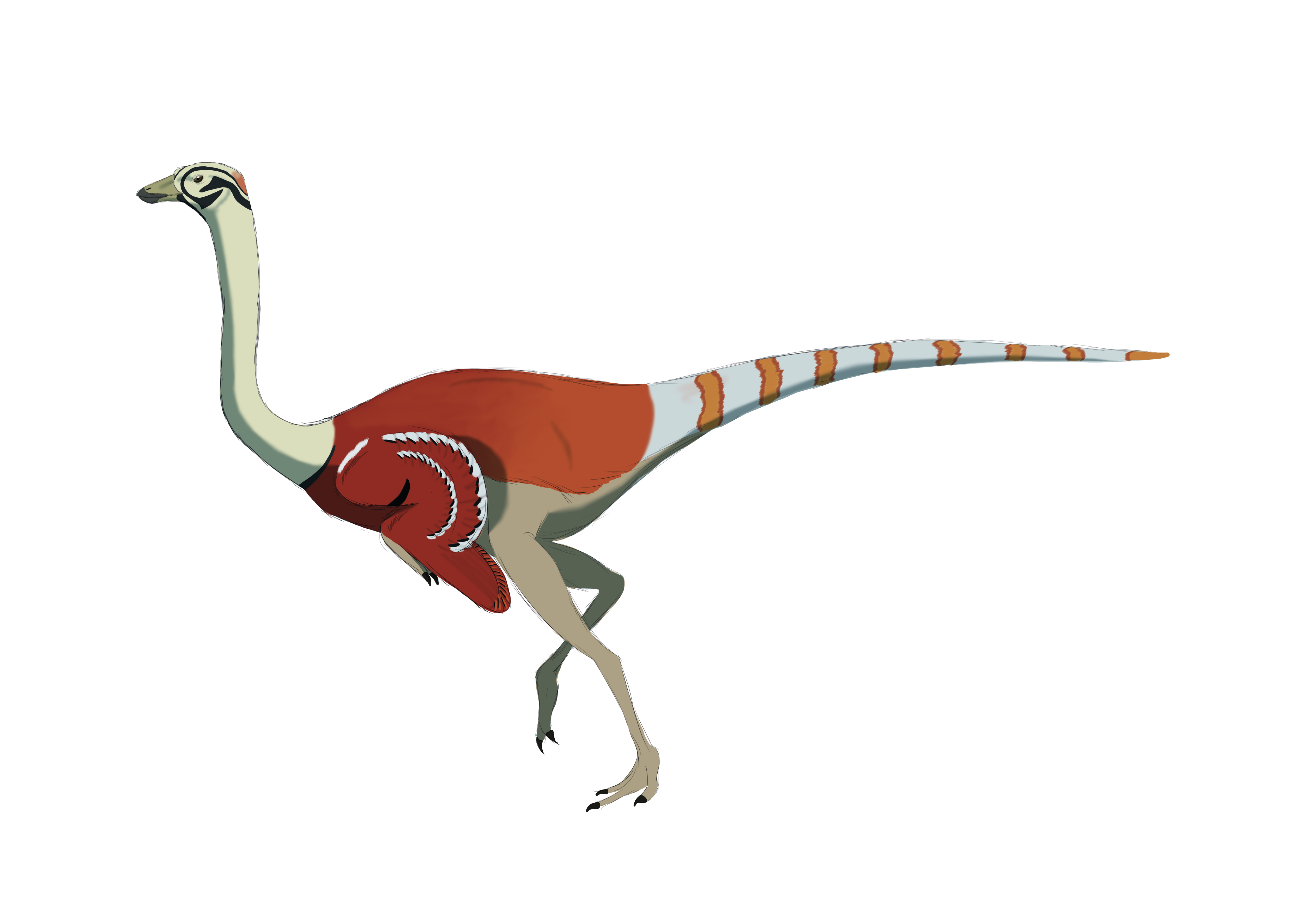 Ornithomimus by Rainbowleo on DeviantArt