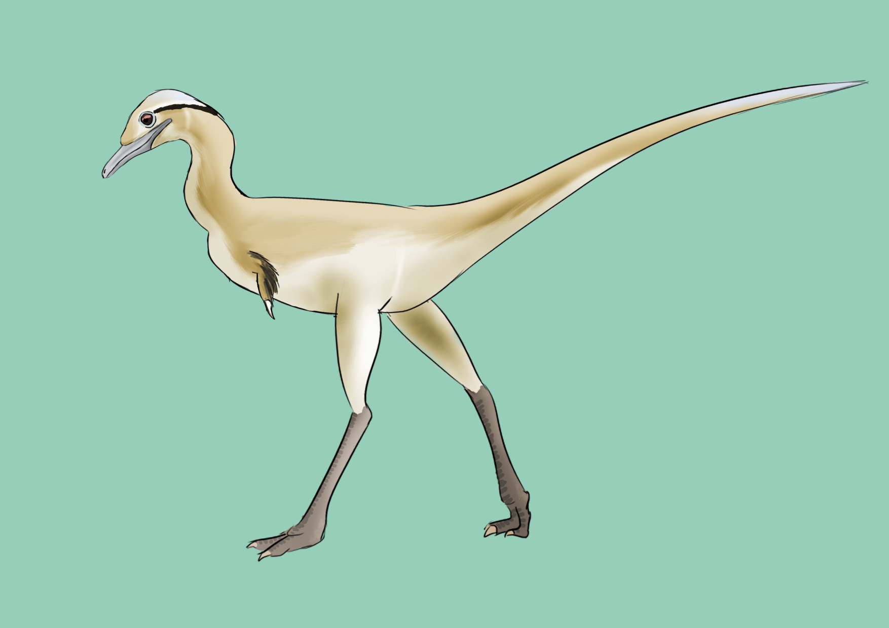 Mononykus by Rainbowleo on DeviantArt