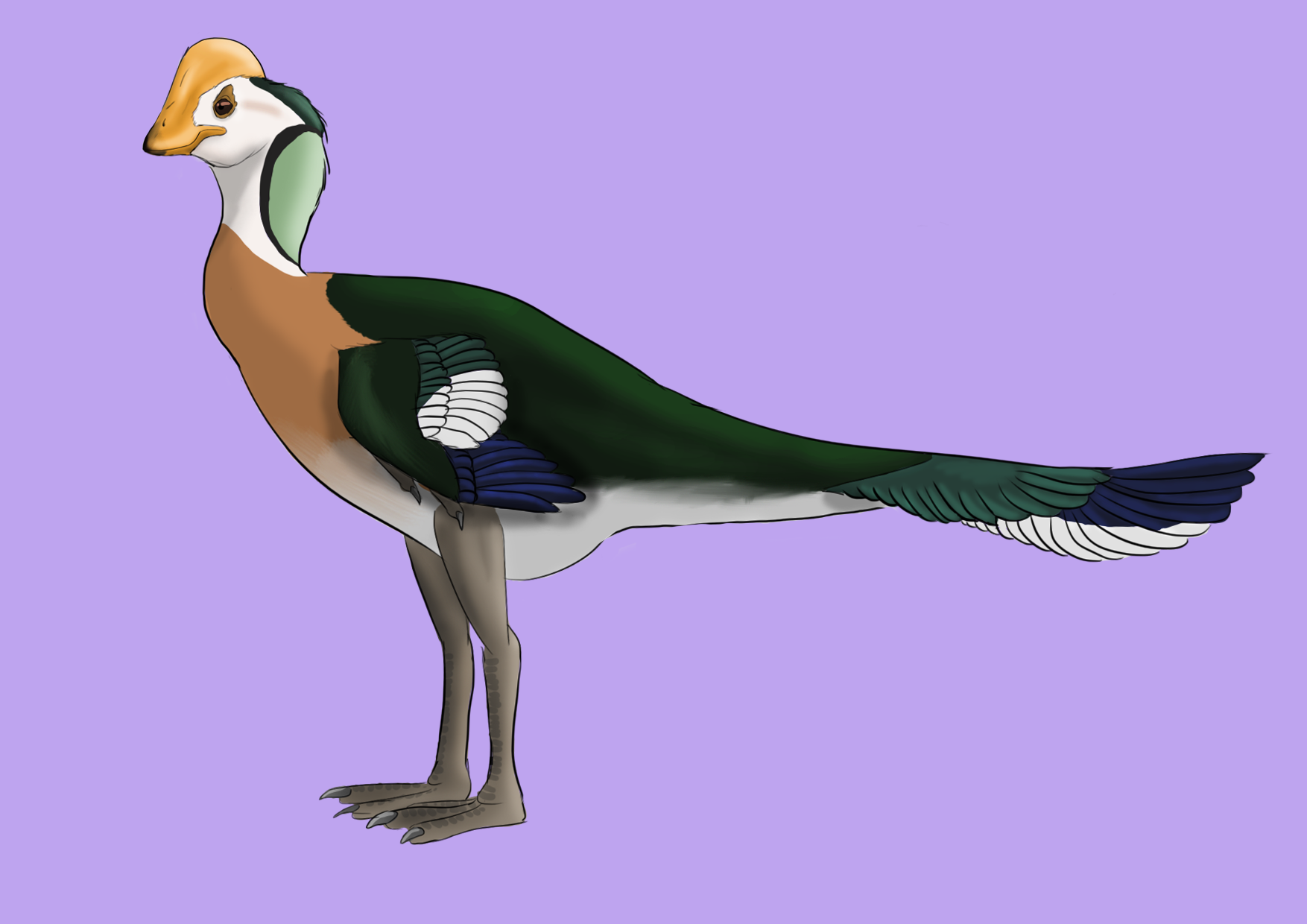 Anzu wyliei by Rainbowleo on DeviantArt