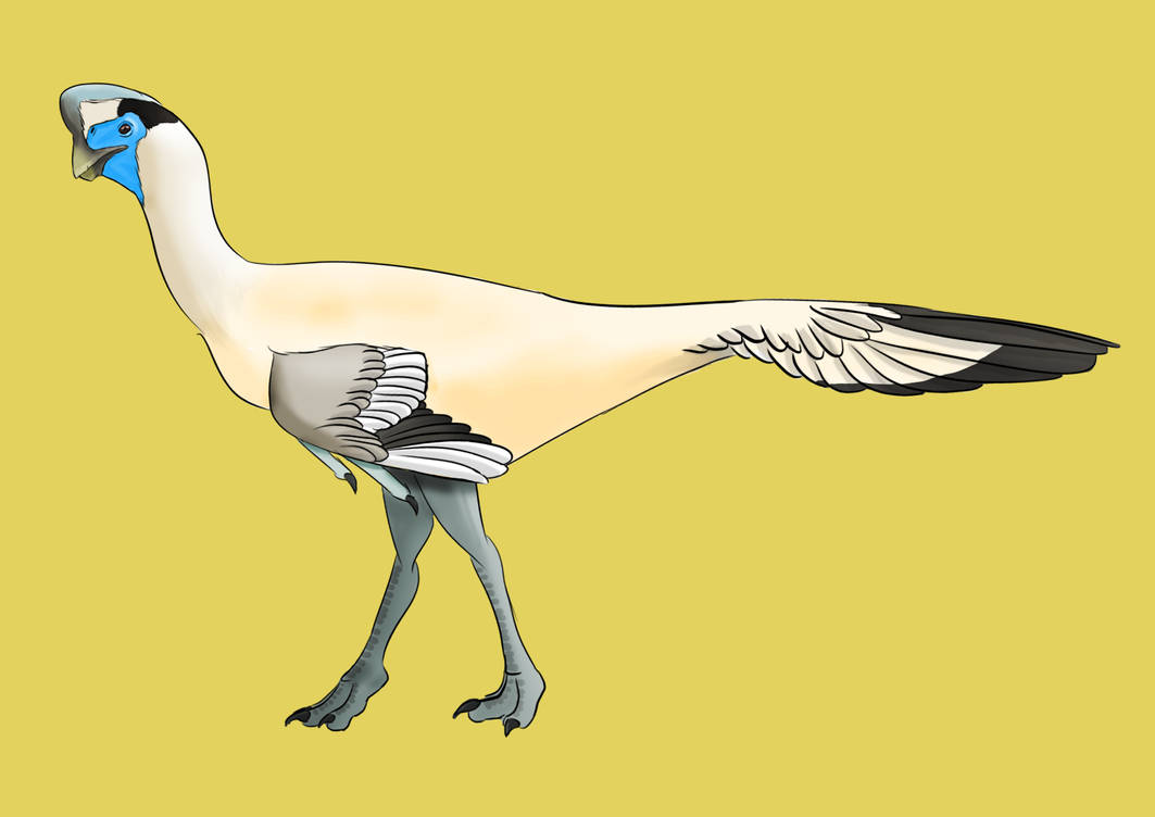 Citipati sp. by Rainbowleo on DeviantArt