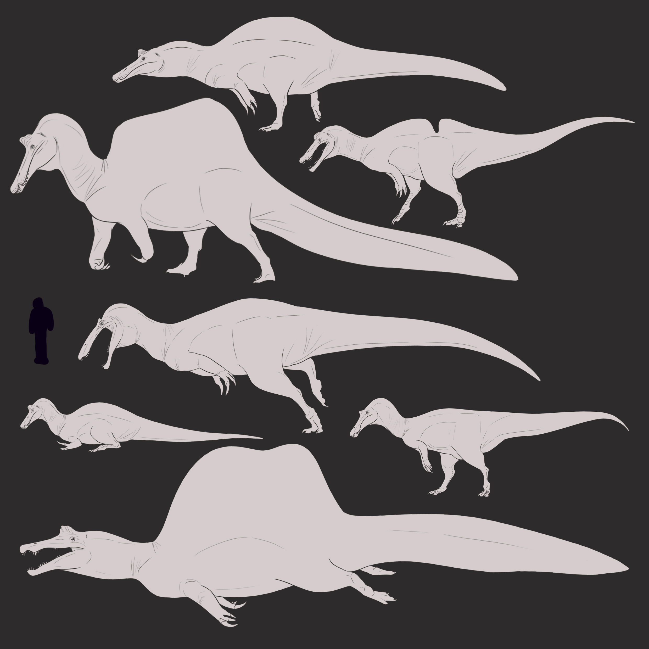 Spinosauridae by Rainbowleo on DeviantArt