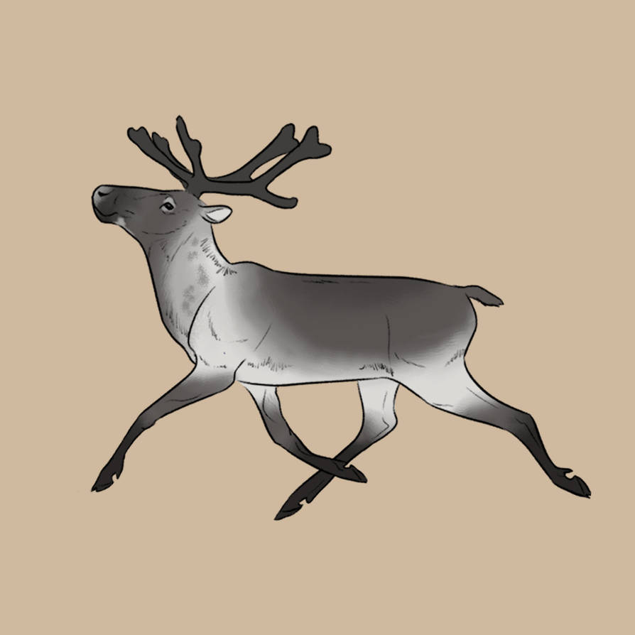 Reindeer by Rainbowleo on DeviantArt