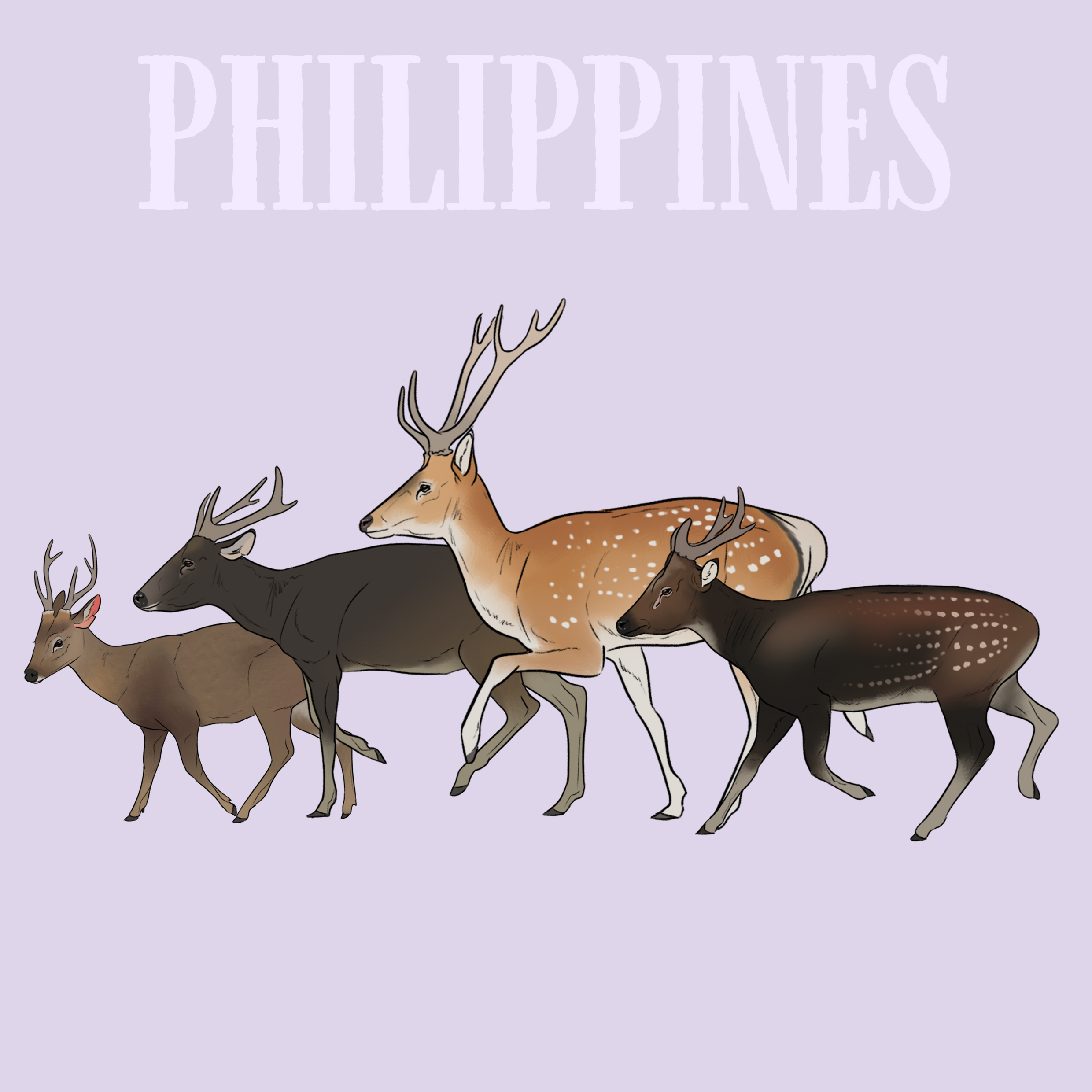 Filipino cervids by Rainbowleo on DeviantArt