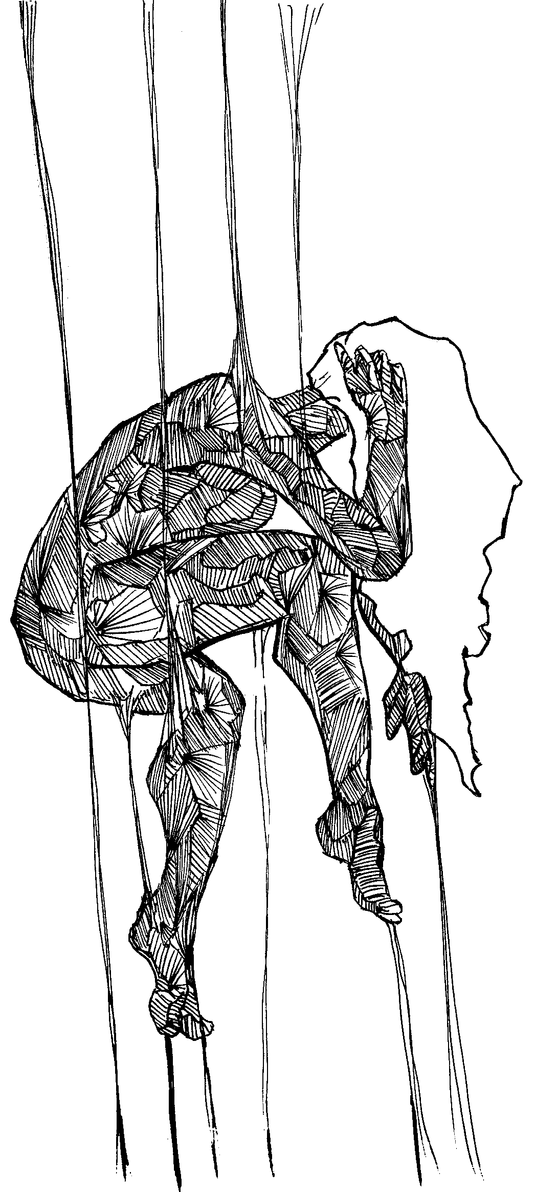 Strung Up by choosechiu on DeviantArt