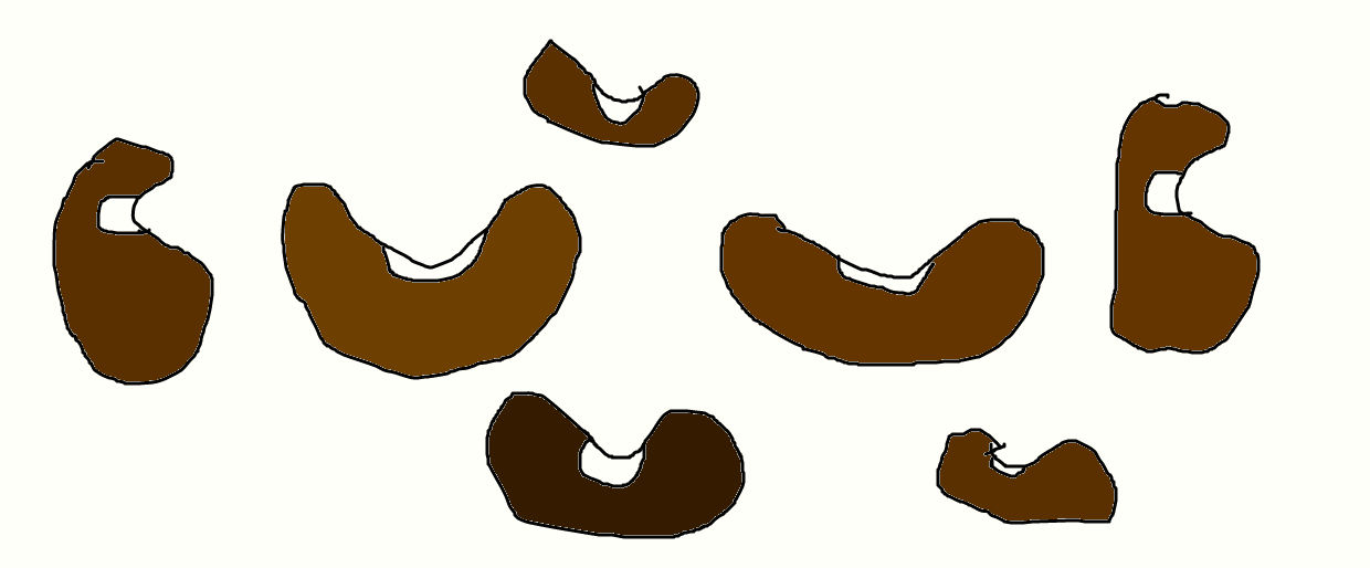 Da beans by HeroshiYoshi1118 on DeviantArt