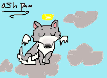 ashpaw chilling with da clouds by eden799 on DeviantArt