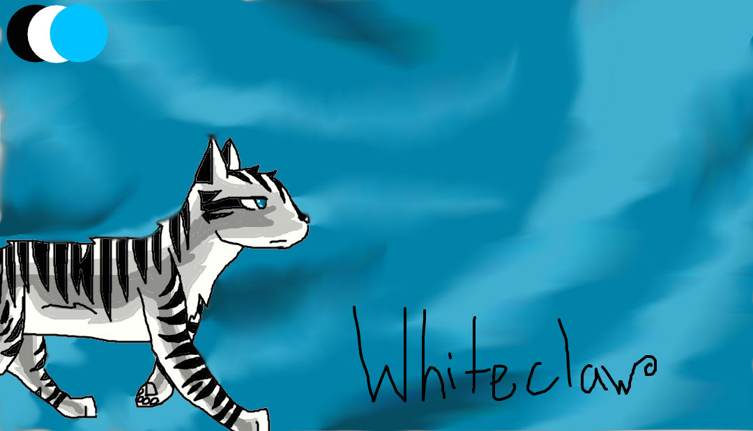 Whiteclaw by wafflez456 on DeviantArt