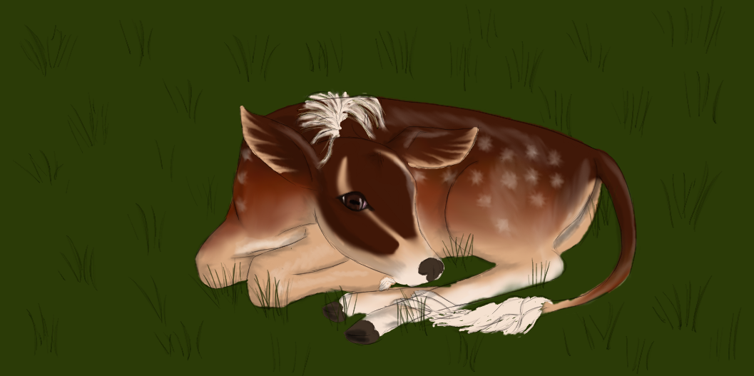 Fawnling Fawn by horselady36501 on DeviantArt