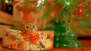 Cute Psd Coloring by AyumiPrincess on DeviantArt