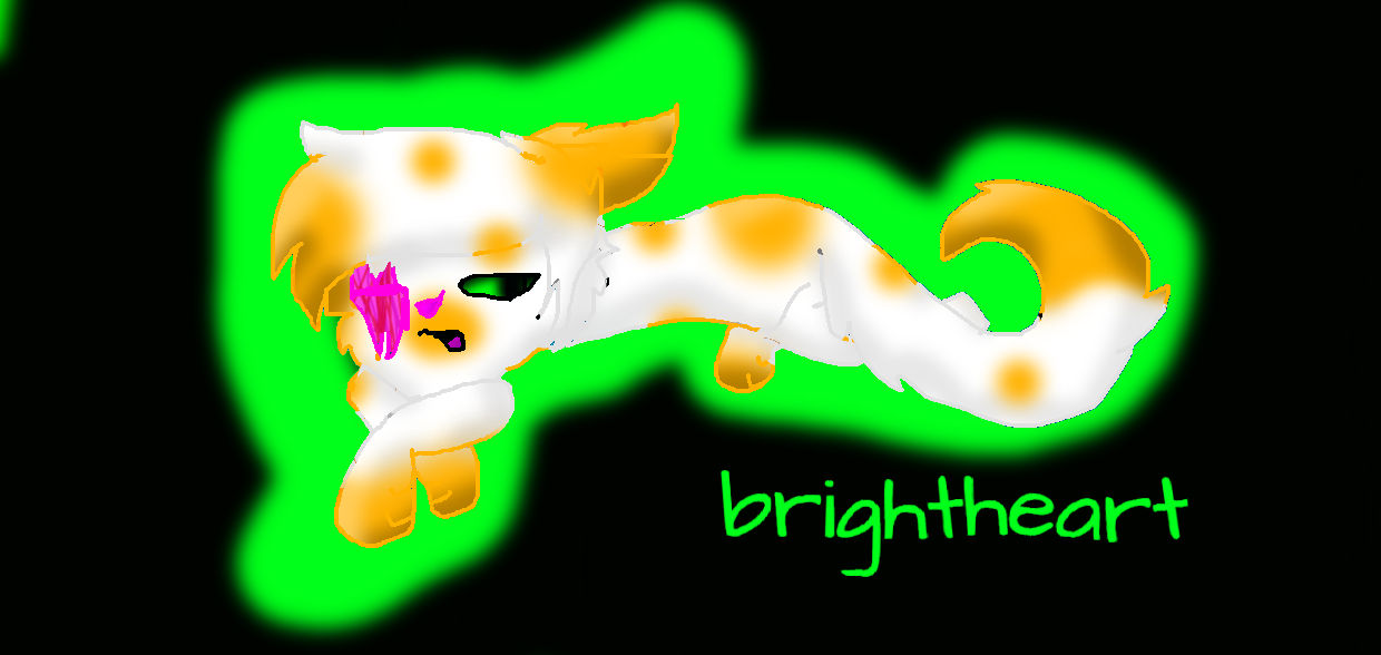 brightheart by rougethebat132 on DeviantArt
