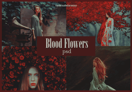 Blood Flowers by KholDBerg on DeviantArt