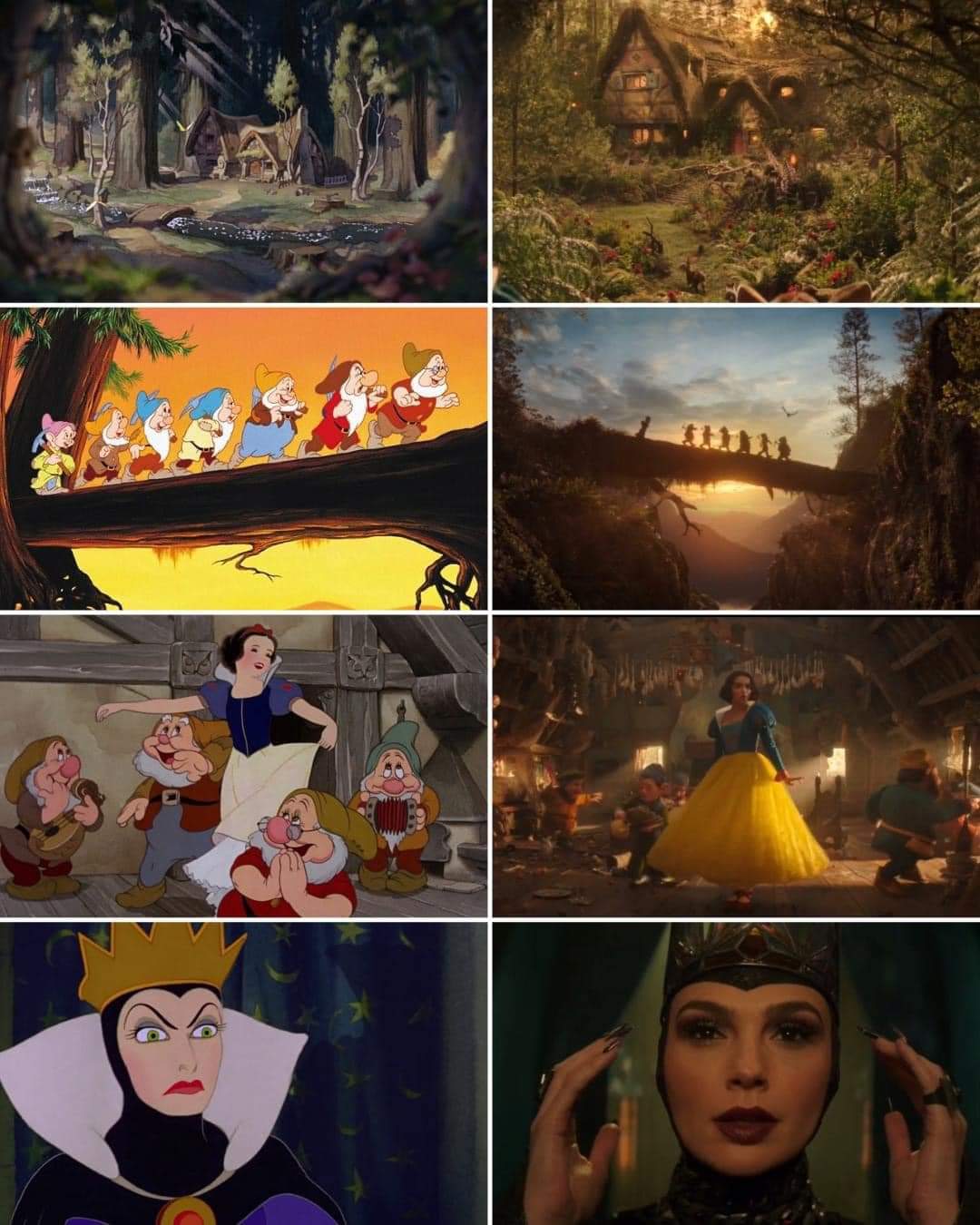 Snow white cartoon and live action by aliciamartin851 on DeviantArt