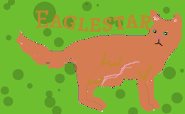 Eaglestar Reference Sheet-Ashflight's Journey by Mistleheart on DeviantArt