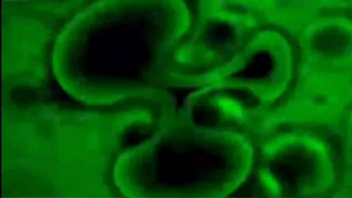 Jinnferno Transformation Sequence by Deviantfantastic on DeviantArt