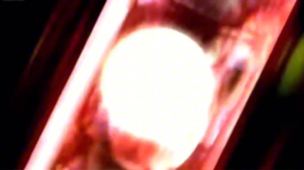 Outbreak Transformation Sequence by Deviantfantastic on DeviantArt