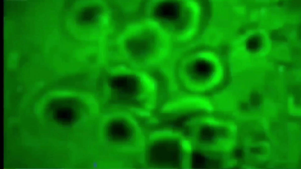 Chitterbug Transformation Sequence by Deviantfantastic on DeviantArt