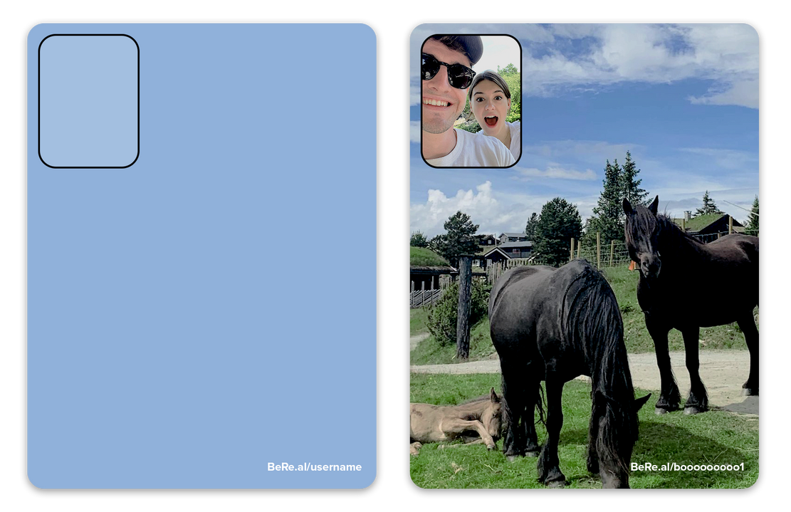  Template 001 BeReal By 77roses On DeviantArt