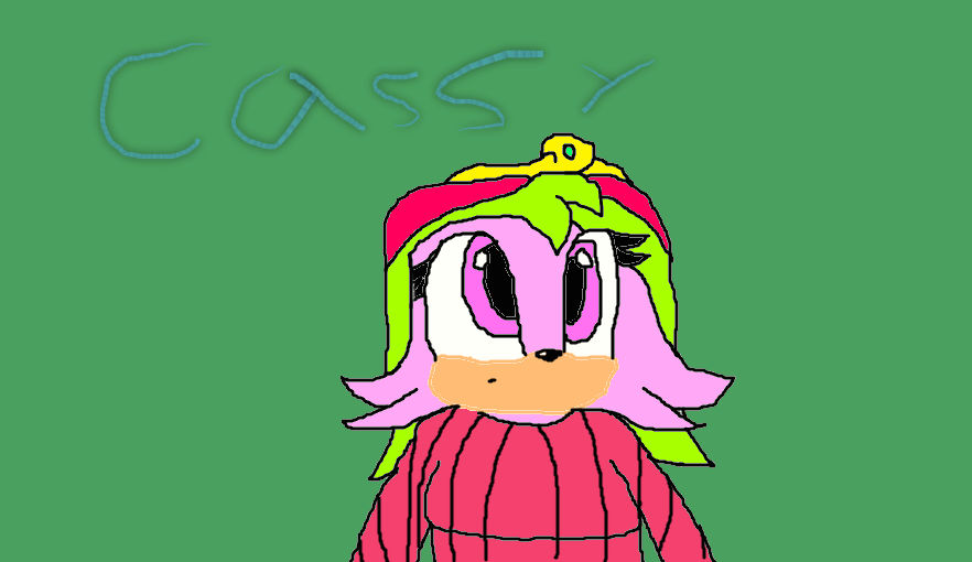 Cassy's real look drawn by Tsunamithehedgehog on DeviantArt