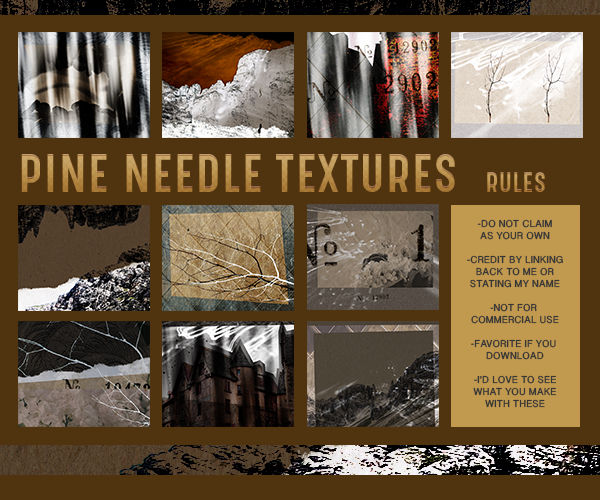 Pine-needle-textures-smol-riddle by Smol-Riddle on DeviantArt