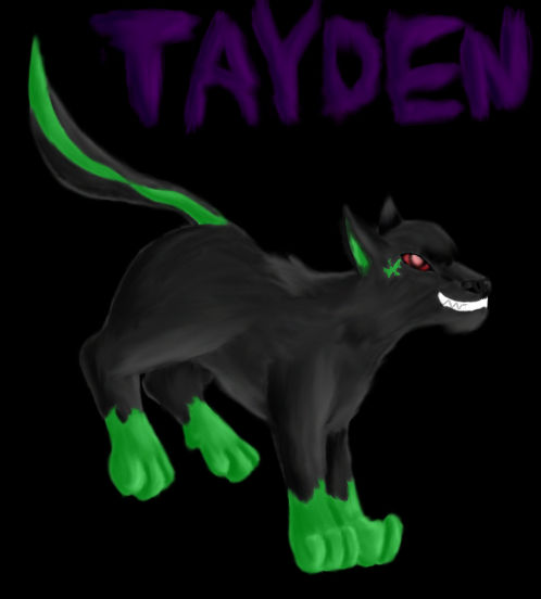 Tayden Improved by Animalover on DeviantArt