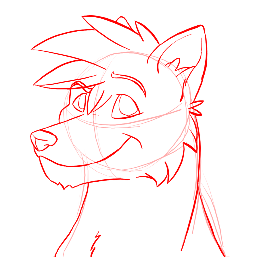 Quick tut. draw a wolf by NarmiCreator on DeviantArt