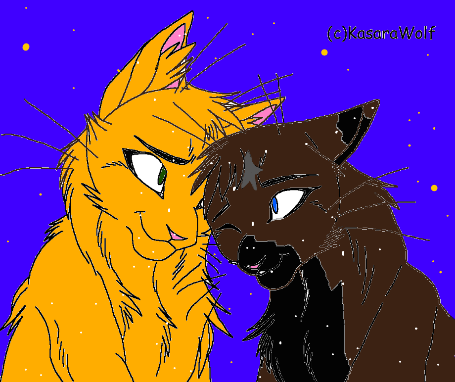 Sunstar and Fernstar by RaiinyMC on DeviantArt