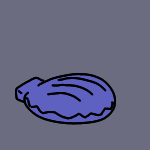 Daily19 a - Clam by RetSamys on DeviantArt