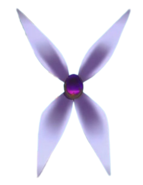 Hawk miraculous by Eninka11 on DeviantArt