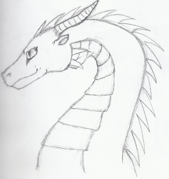 Fintan Profile view by GraviTiger on DeviantArt