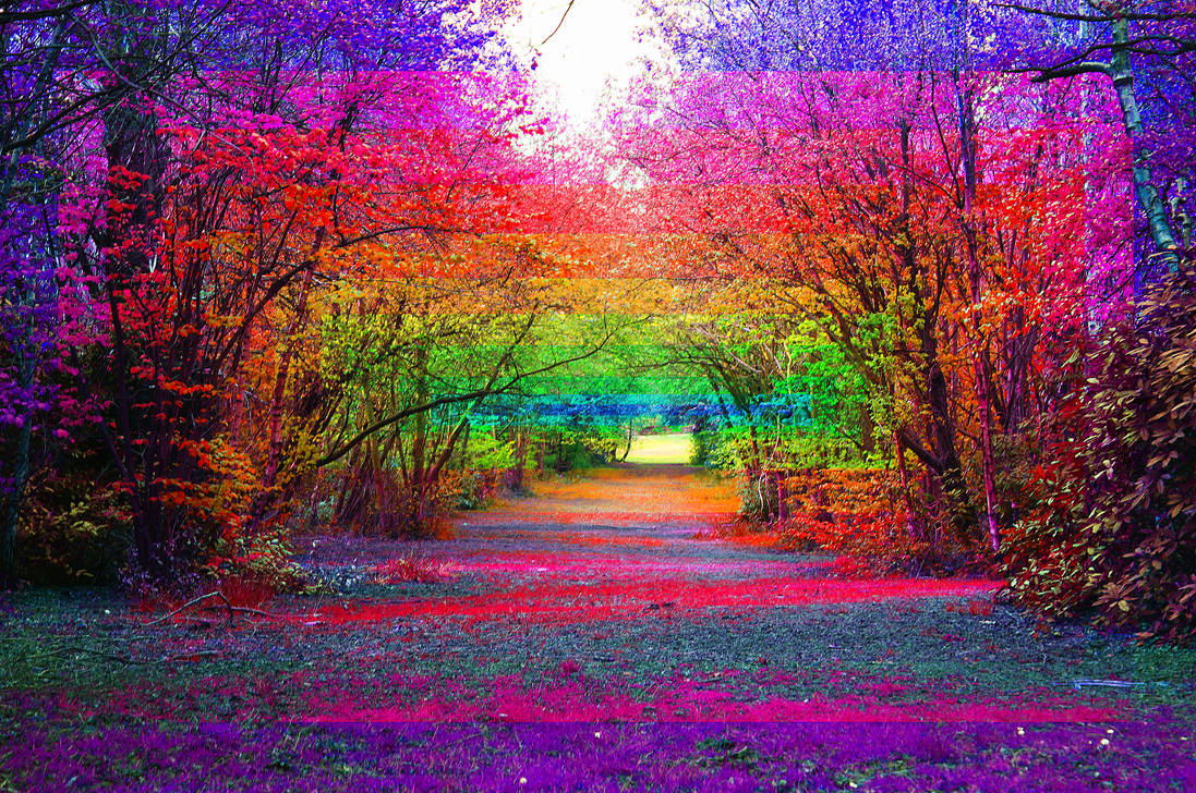 Mystical Walkway by xxs1lv3rsparkxx on DeviantArt