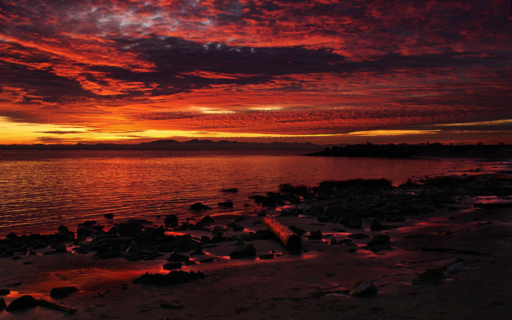 Apocalypse by IvanAndreevich on DeviantArt