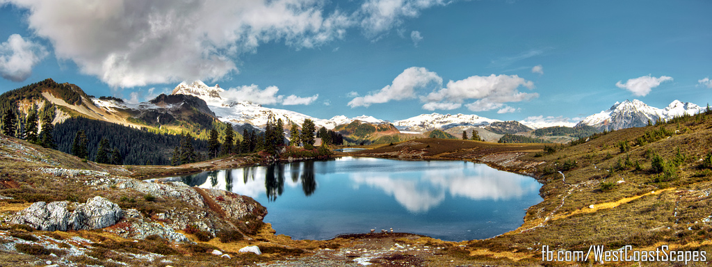 Dual Wall on WorldWideWallpapers - DeviantArt