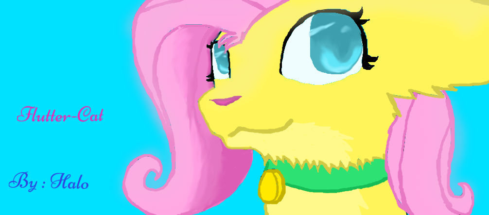 Flutter cat by Halo--Cat on DeviantArt