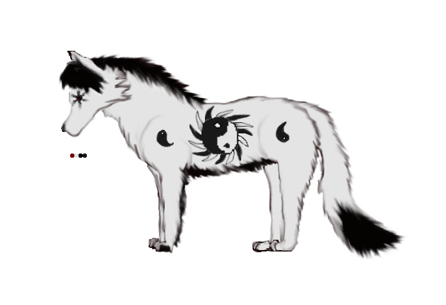 Yin and Yang wolf design by Dragoness422 on DeviantArt