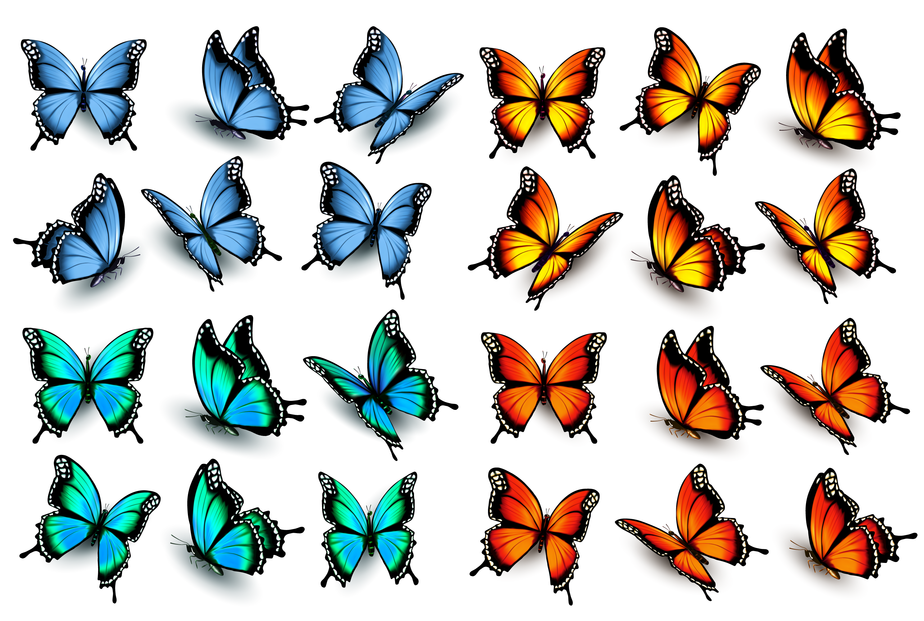 Butterfly png AI Illustrator file by anulubi on DeviantArt