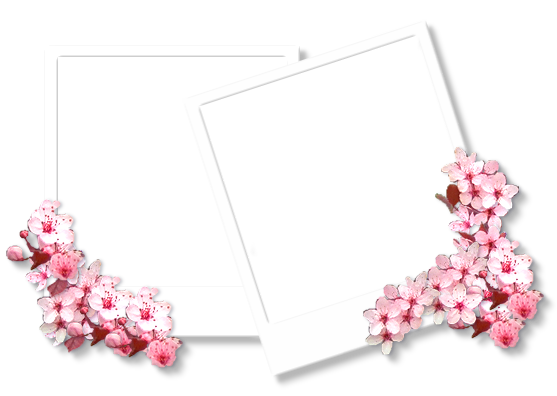 Sakura frame by Katydeviantart on DeviantArt