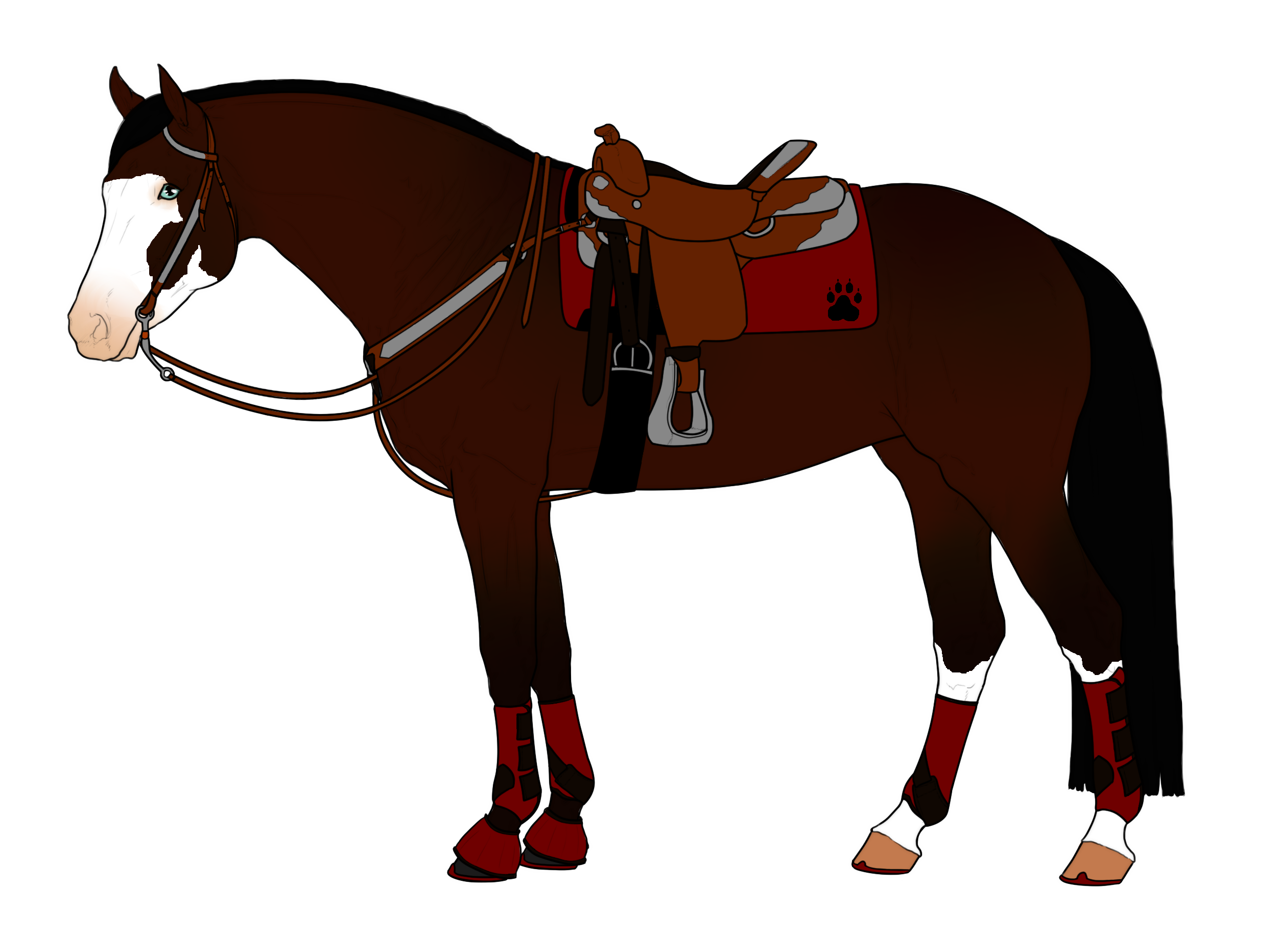 Custom Horse Design by Karly14 on DeviantArt