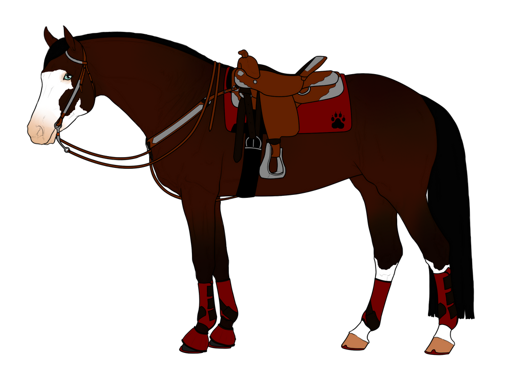 Custom Horse Design by Karly14 on DeviantArt