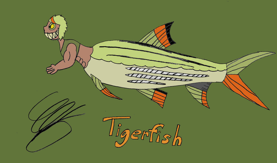 Merymay (Tigerfish) by BankruptWizard on DeviantArt
